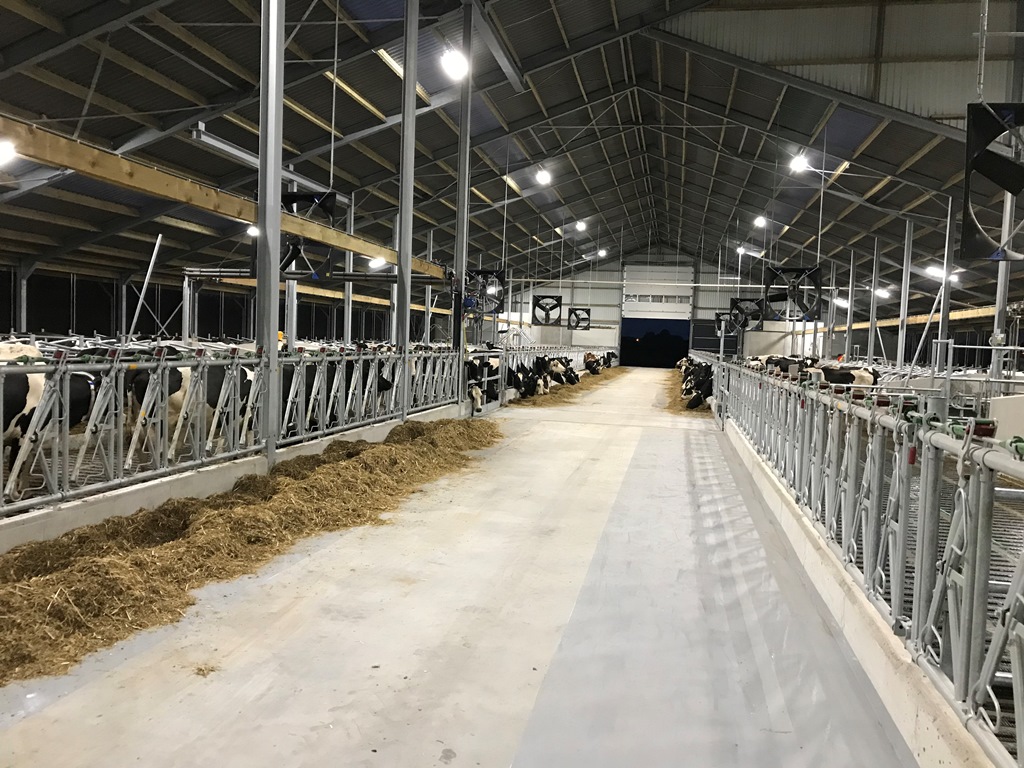 BouMatic Xpedia IX 30+2 carrousel - Dio Agro